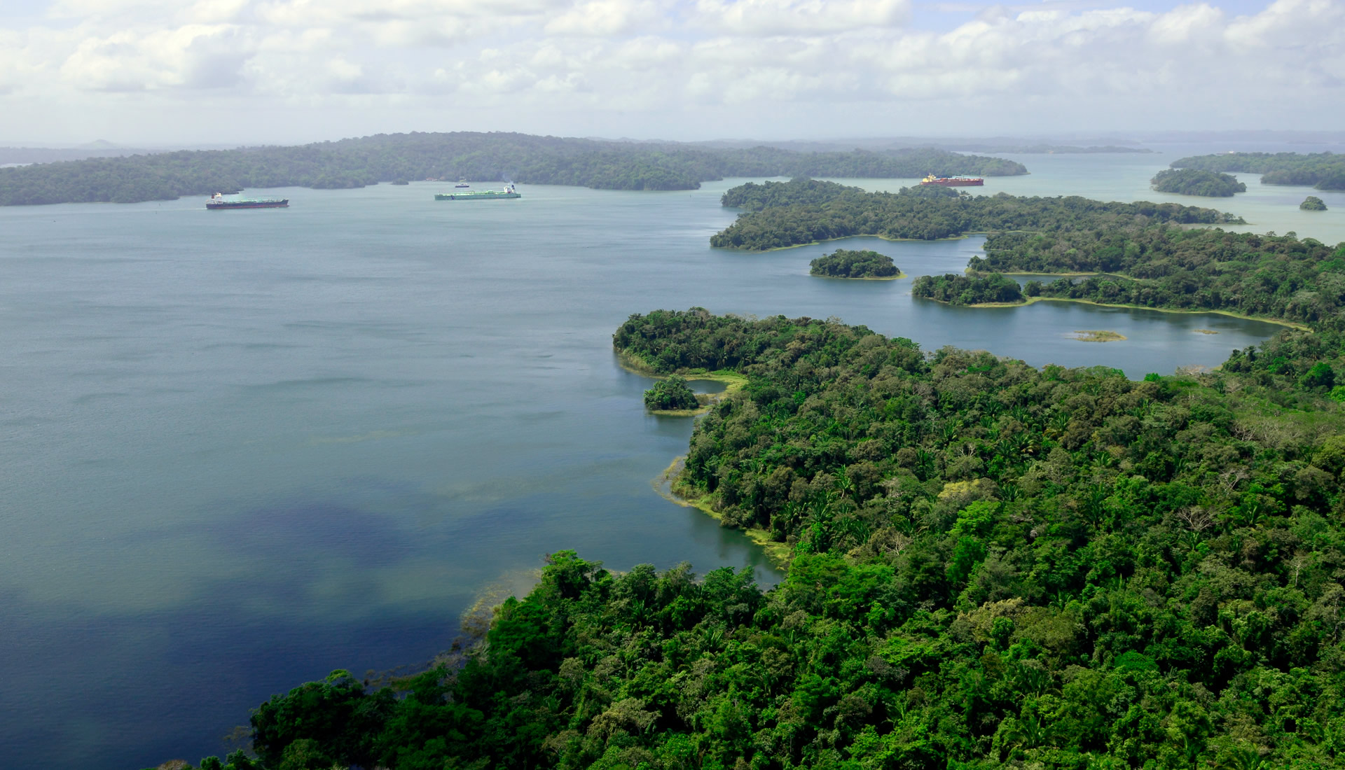 Home - Green Connection