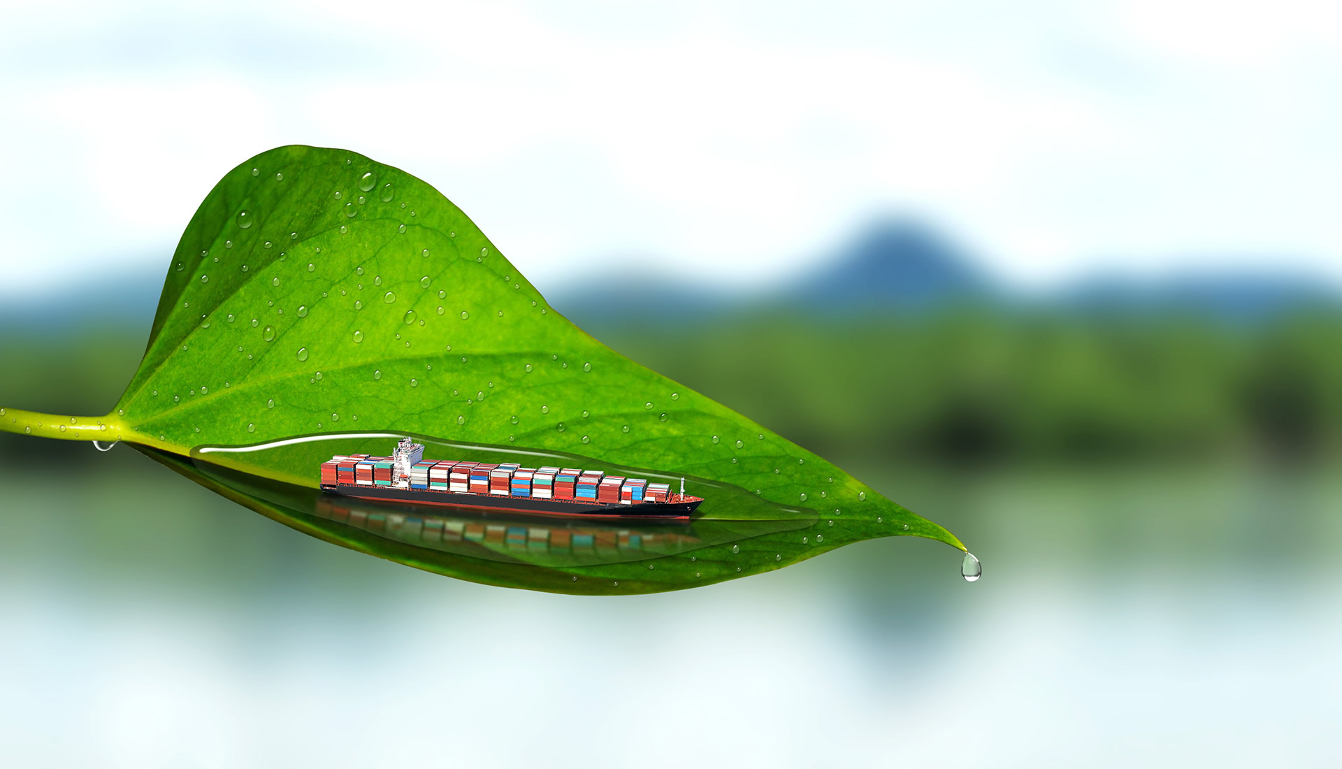 Home - Green Connection